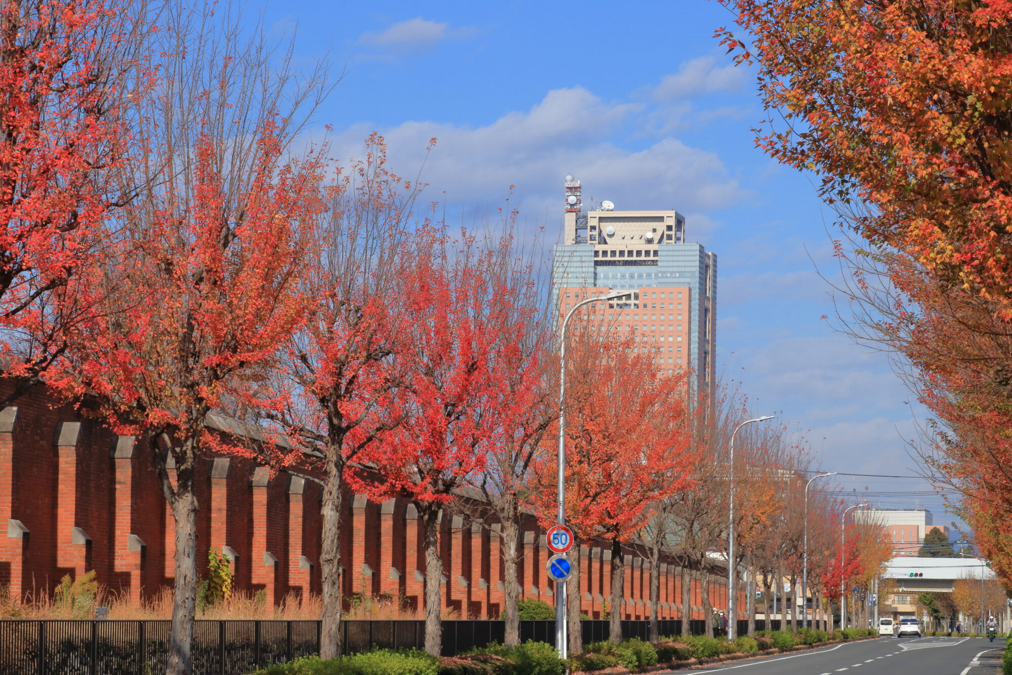 第43回前橋観光百景写真コンテスト 最高賞は青木弘昌さん｜前橋発、新しい風 「めぶく」街 。前橋の様々な話題を取り扱う前橋新聞-mebukuです。
